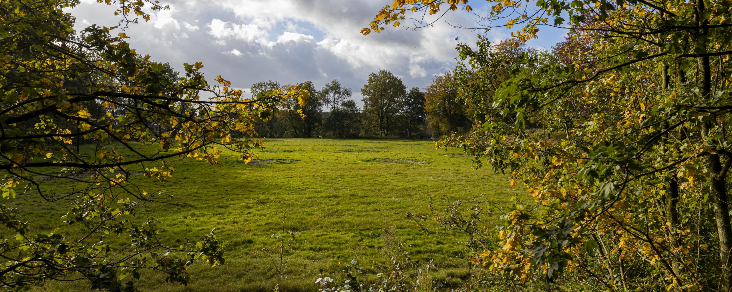 Home | Gemeente Landgraaf