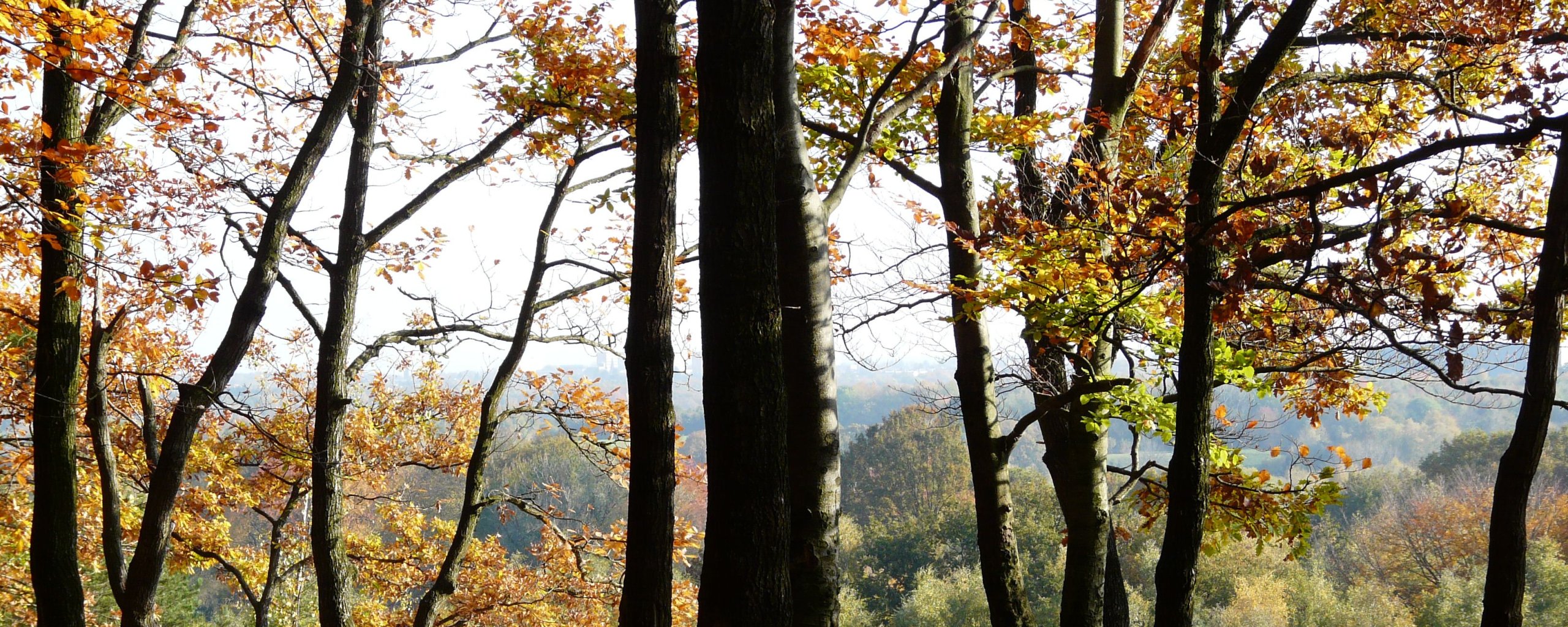 Home | Gemeente Landgraaf